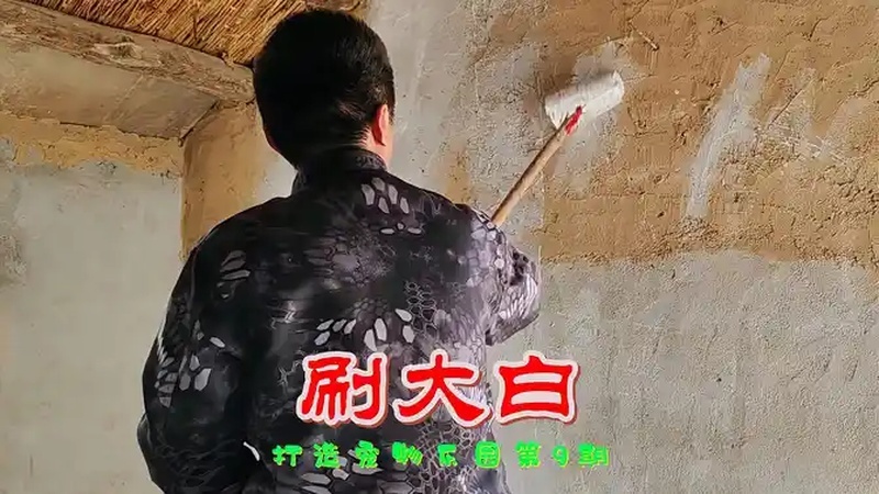 10公分厚冰层拯救清江鱼,农场大型电力系统安装,筹划抓猫行动