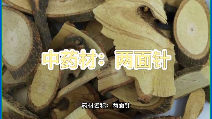 中药材两面针的作用与功效。@中药材小丁 @探医 @武当山药王谷