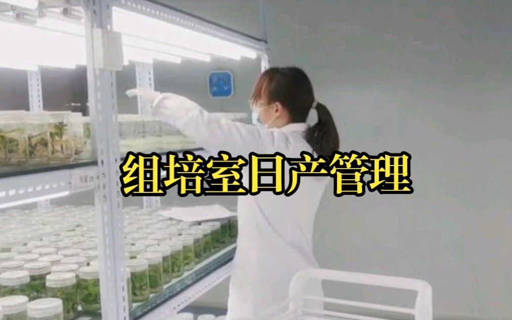 组培室日常管理 组培实验室仪器设备