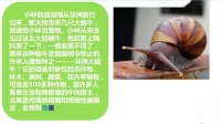 道德与法治部编版(人教)八年级上册_维护国家安全_如何成为一名维护...