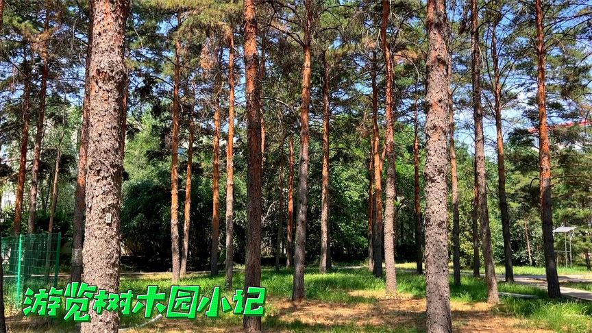 中国北方重要的林木种质资源保护、科研和科普教育基地——树木园