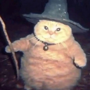 oopspoo 