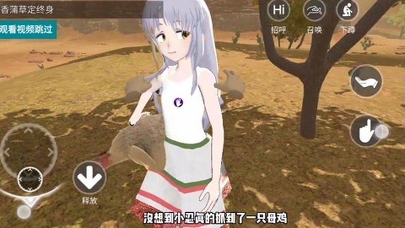 小忍计划:今天小忍成功抓到一只母鸡,奖励小忍一个甜甜圈!