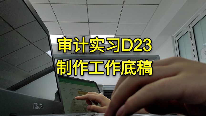 【审计实习D23】制作工作底稿丨周五之前要出报告