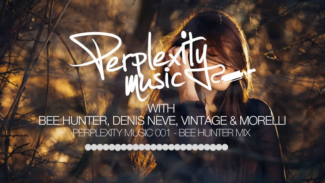 Perplexity Music 001 - Bee Hunter Mix [16.01.2015] [THS89]