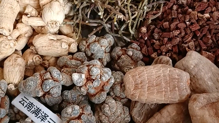 云南满泽五宝粉,三七天麻西洋参丹参石斛混合,一比一打磨