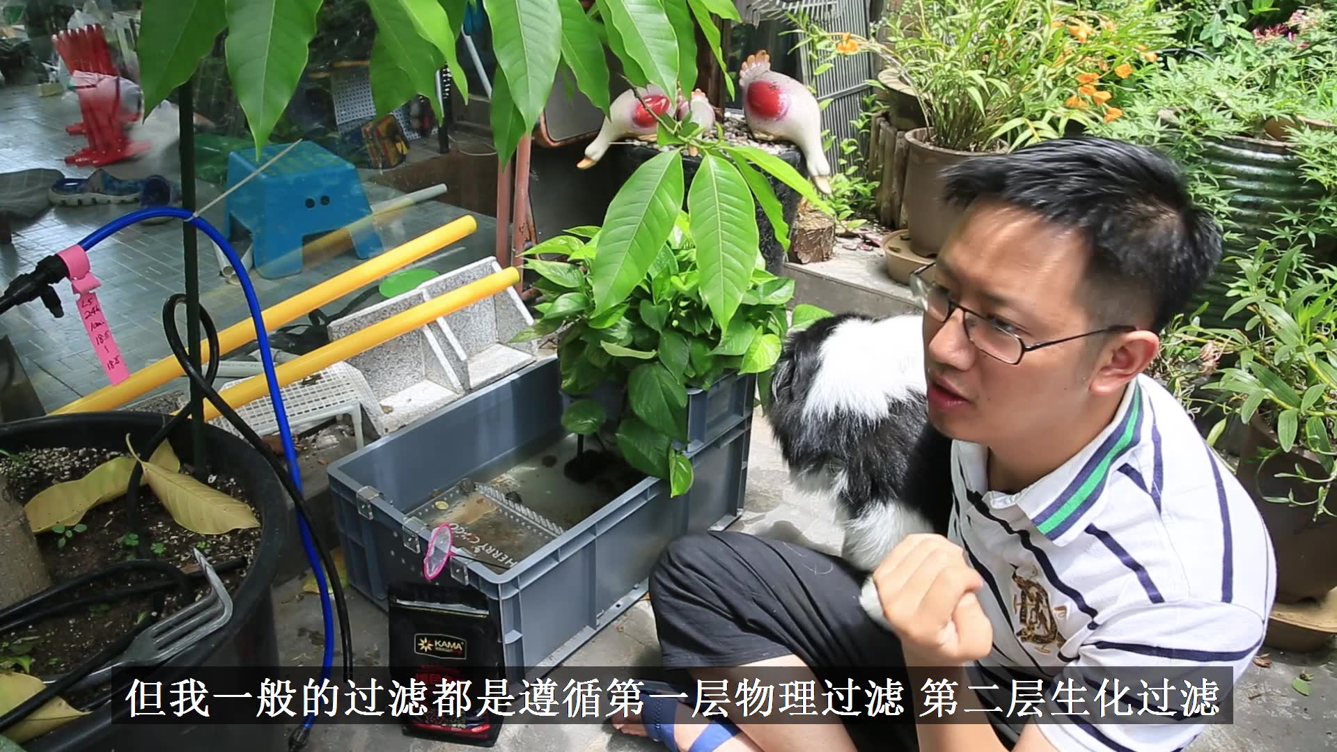 沼泽过滤的构造是怎么样的?原理是什么?