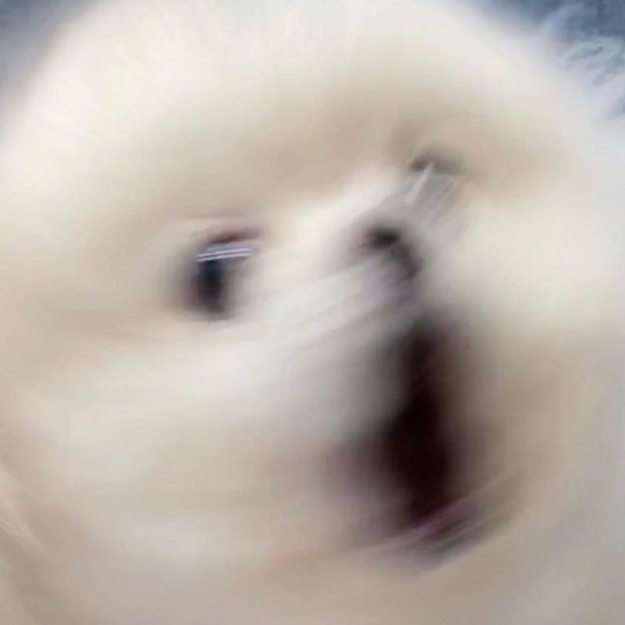 禹乔乔乔乔 