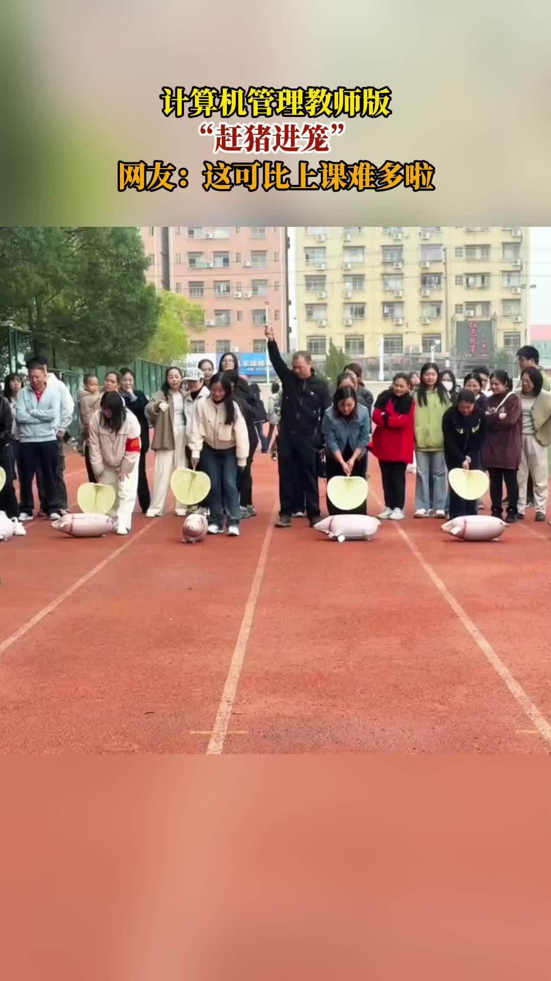 计算机管理教师版,"赶猪进笼" ,网友:这可比上课难多啦