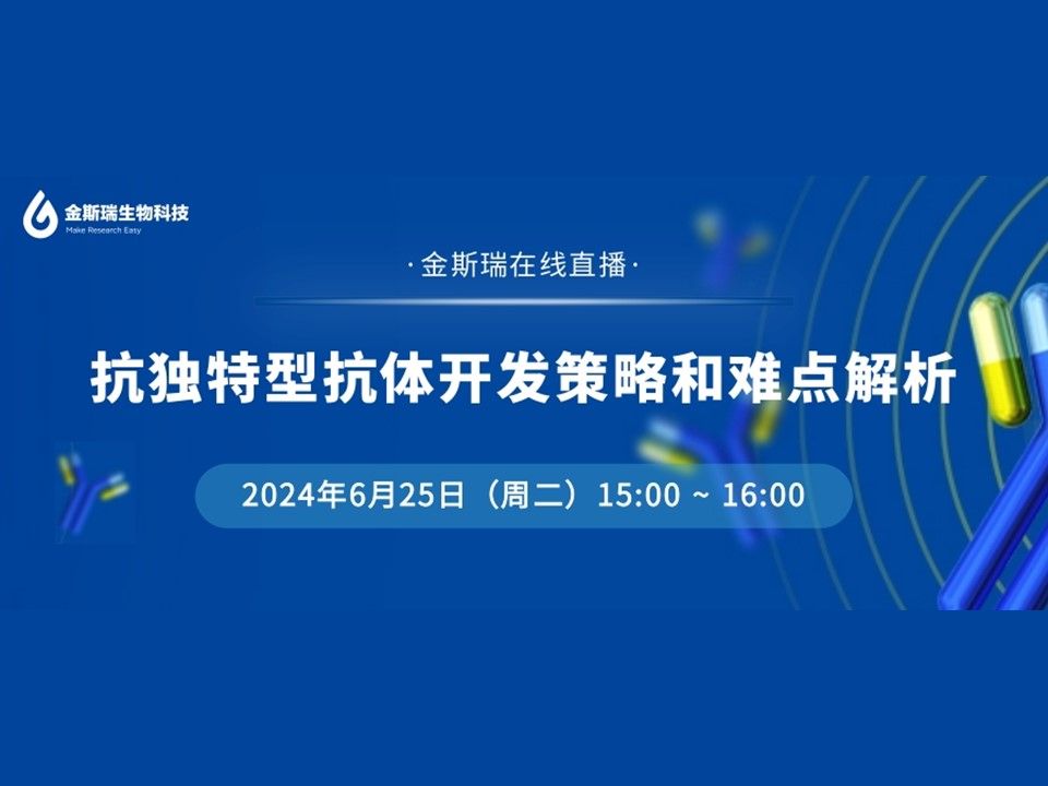 抗独特型抗体开发策略和难点解析