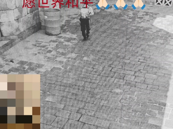 ...恐怖分子,愿世界和平,快转发给相亲相爱一家人。_网络游戏热门视频