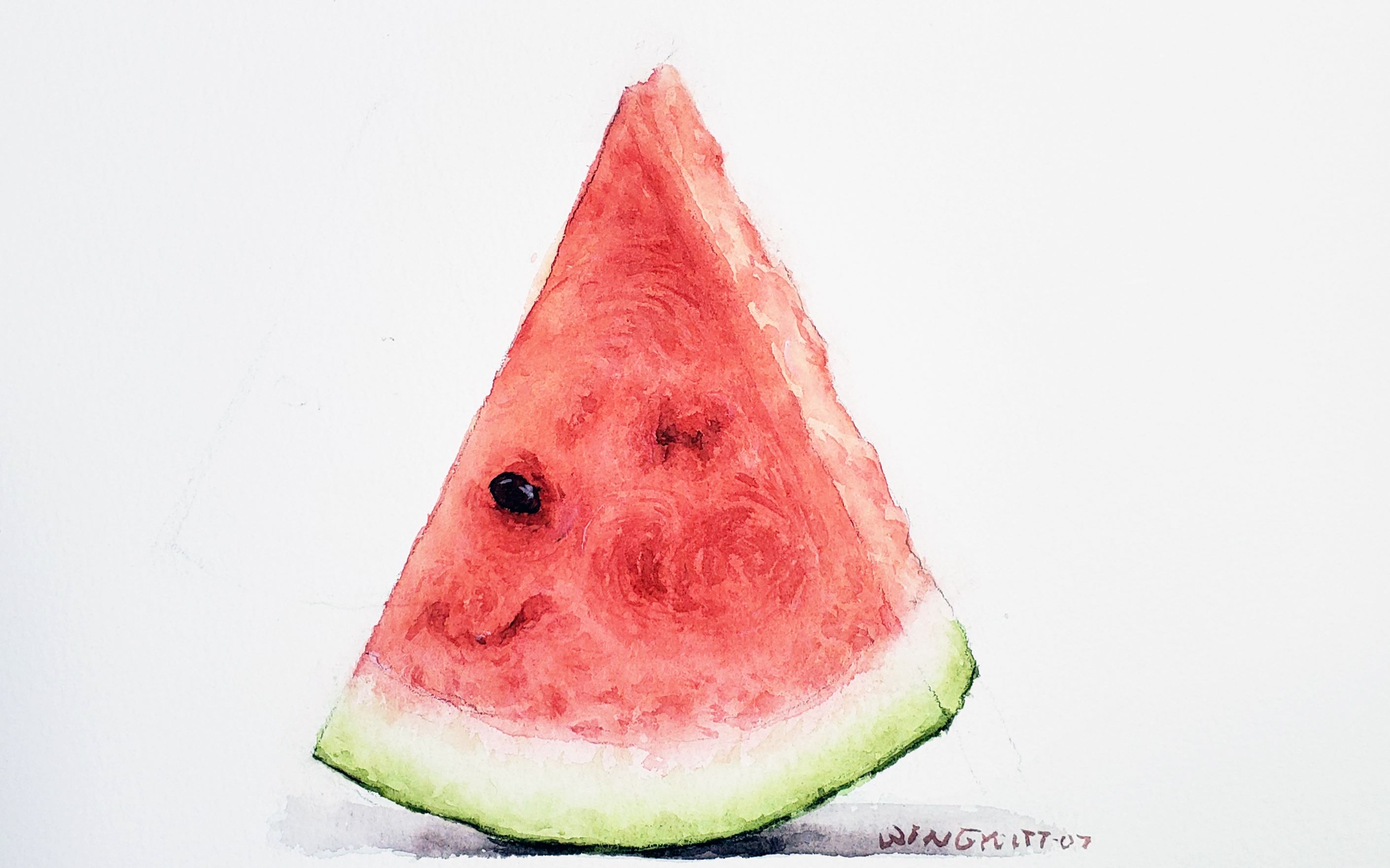 【水彩教程】水彩入门初级技法讲解 及 配套练习