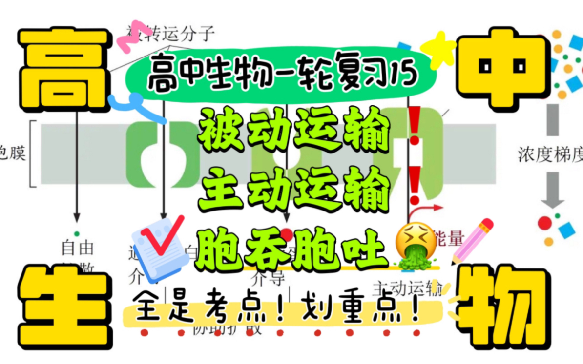 ...15 第四章 细胞物质的输入和输出,第二节物质运输方式(被动运输,主动...