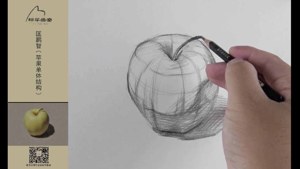苹果结构素描怎么画?简单的教程让你快速上手