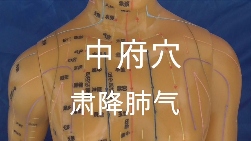 中府穴主治:腹胀,四肢肿,食不下,喘气胸满,肩背痛