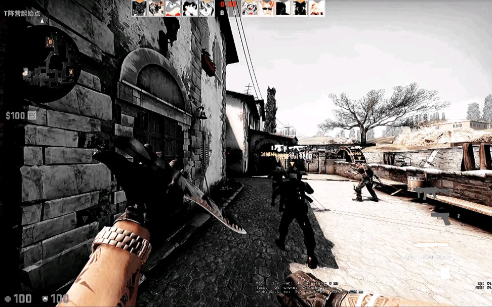【CSGO】海豹短刀实战手感针不戳
