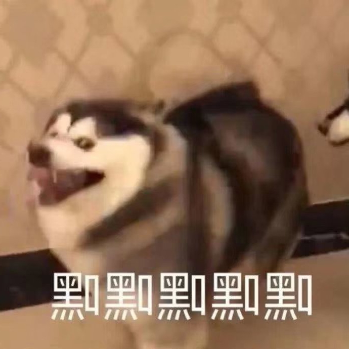 狼酱Arun 