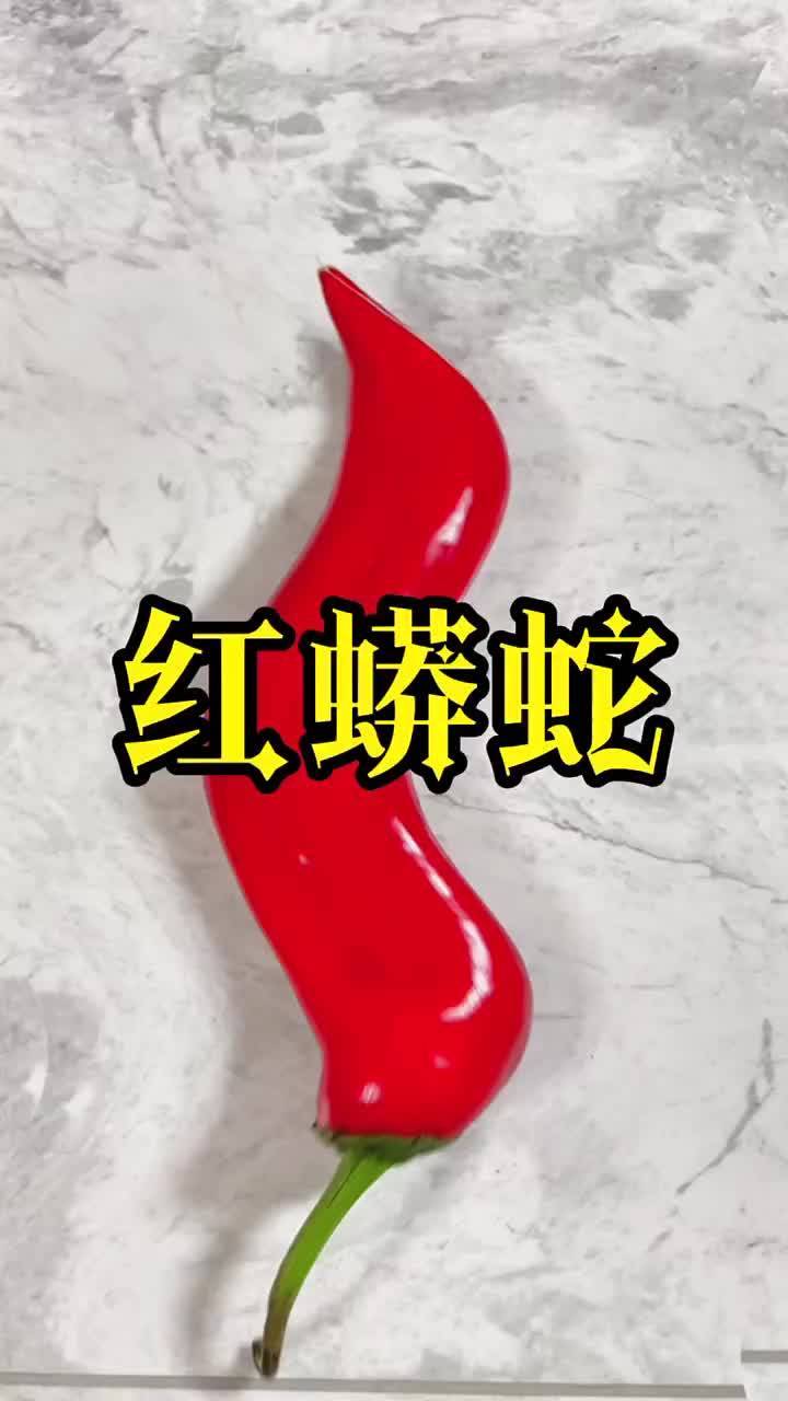 这段视频采用了拟蛇的修辞手法,表达了作者对红椒的喜爱之情!