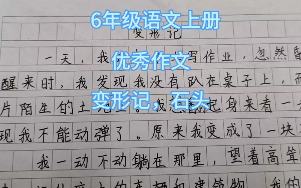 6年级语文上册,优秀作文,变形记,石头