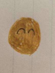 一只金黄色的球球 