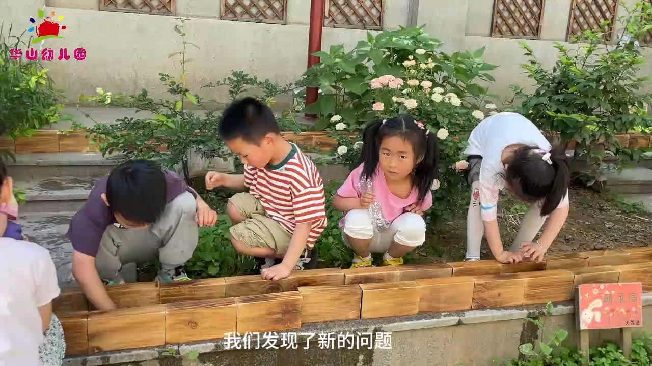 STEAM案例《小菜园灌溉记》