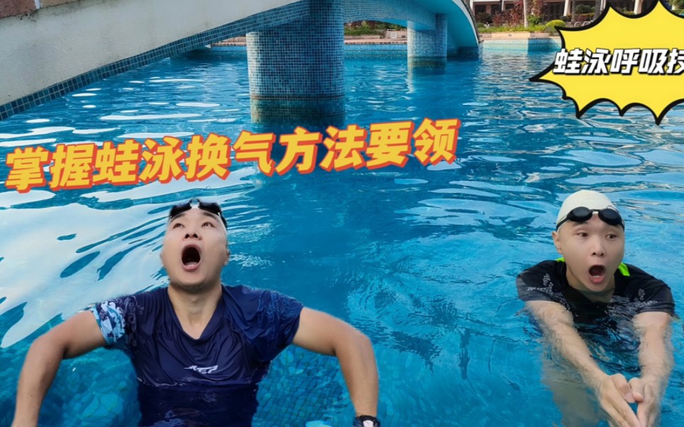 掌握蛙泳换气方法,游蛙泳不再费力,这个换气才省力轻松
