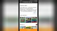 掌通家园微信朋友圈效果 和微信支撑群