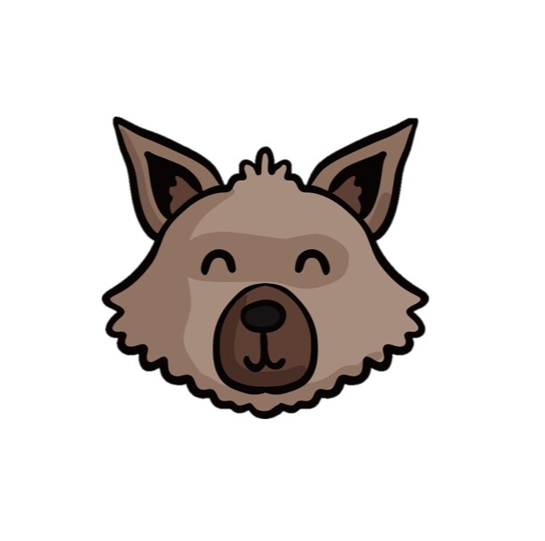 大宝十三搭把手狼人杀 