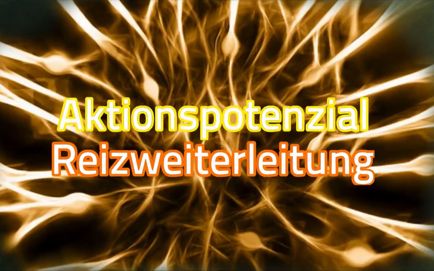 【SIMPLECLUB】德语科普 动作电位与刺激传导