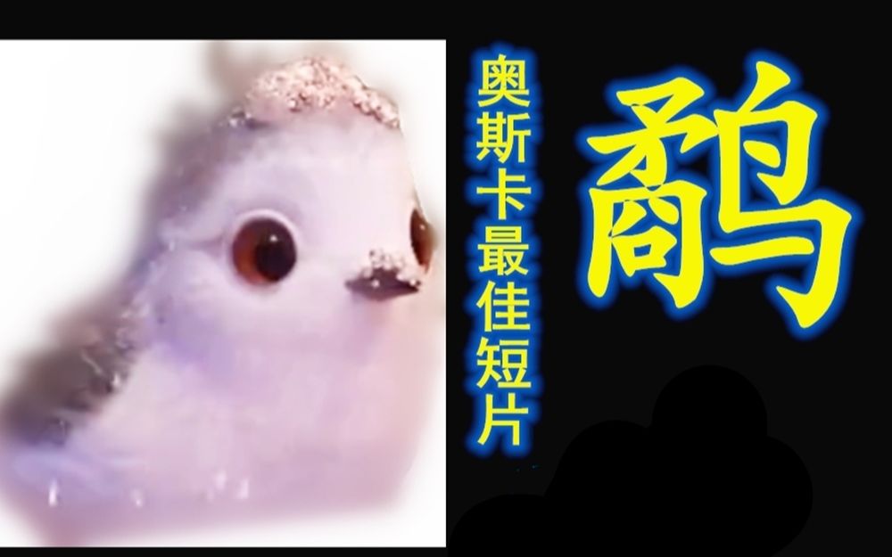 奥斯卡最佳动画短片《鹬》-超清720P