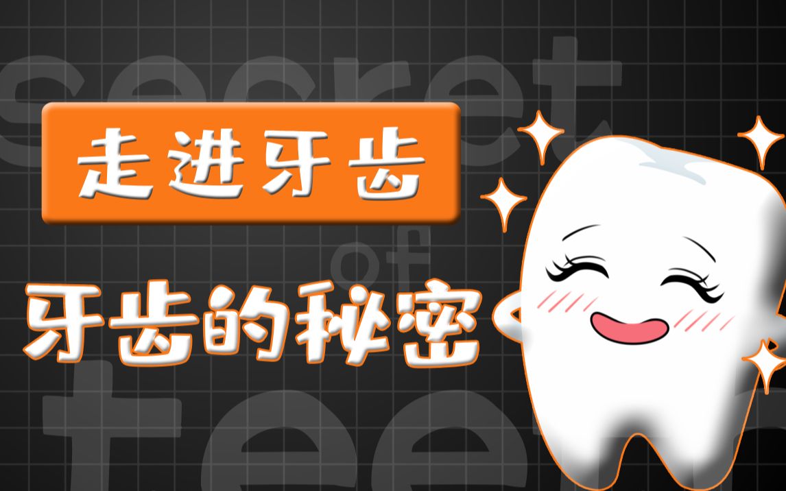【科普】牙齿的那些小秘密