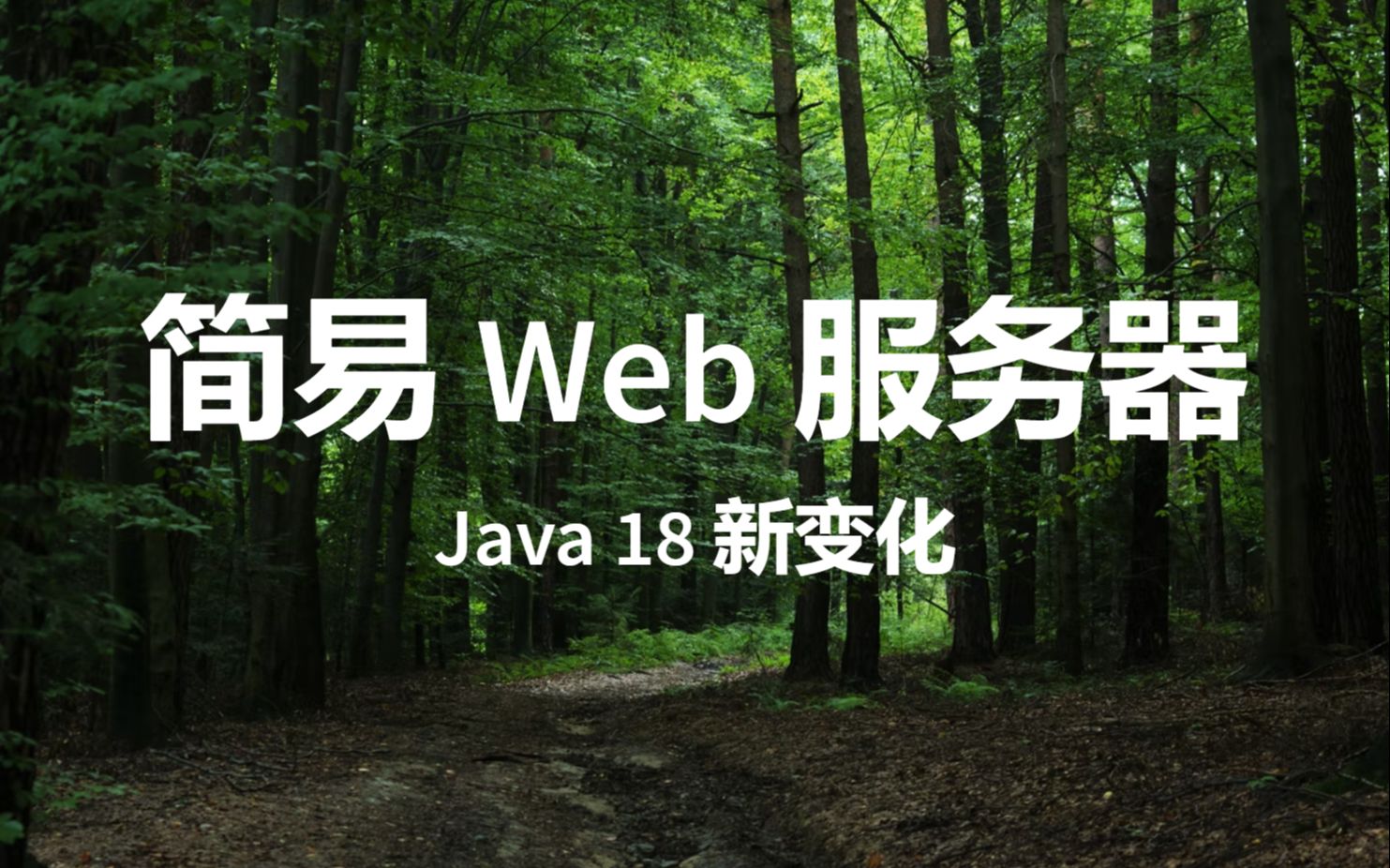 【Java 18】简易 Web 服务器