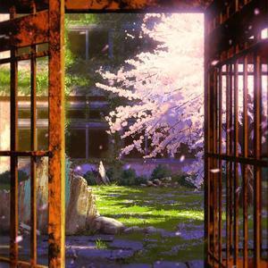 书剑过去 