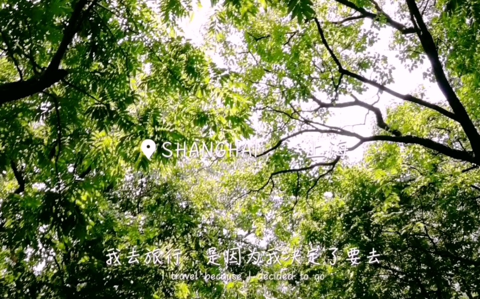 现高三学子的高二研学旅行