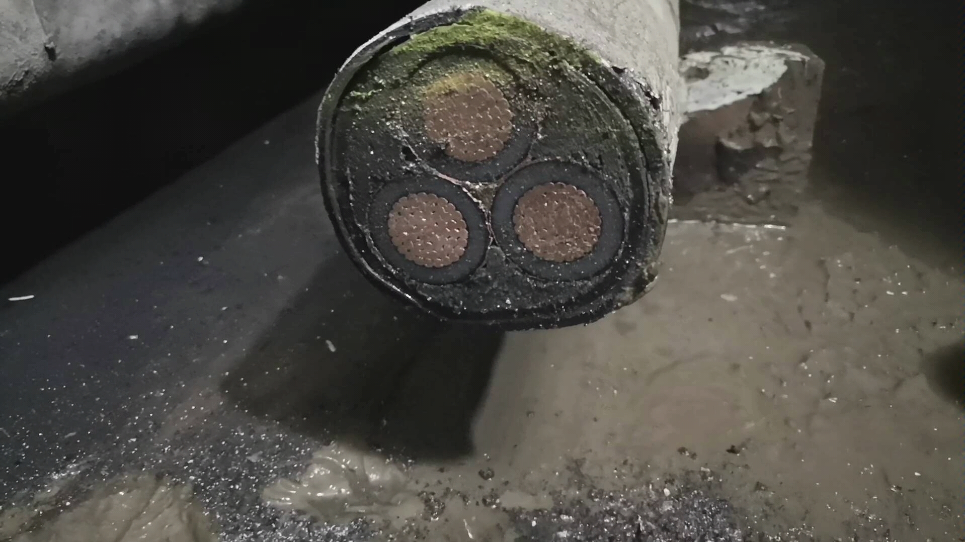 三芯电缆故障原因