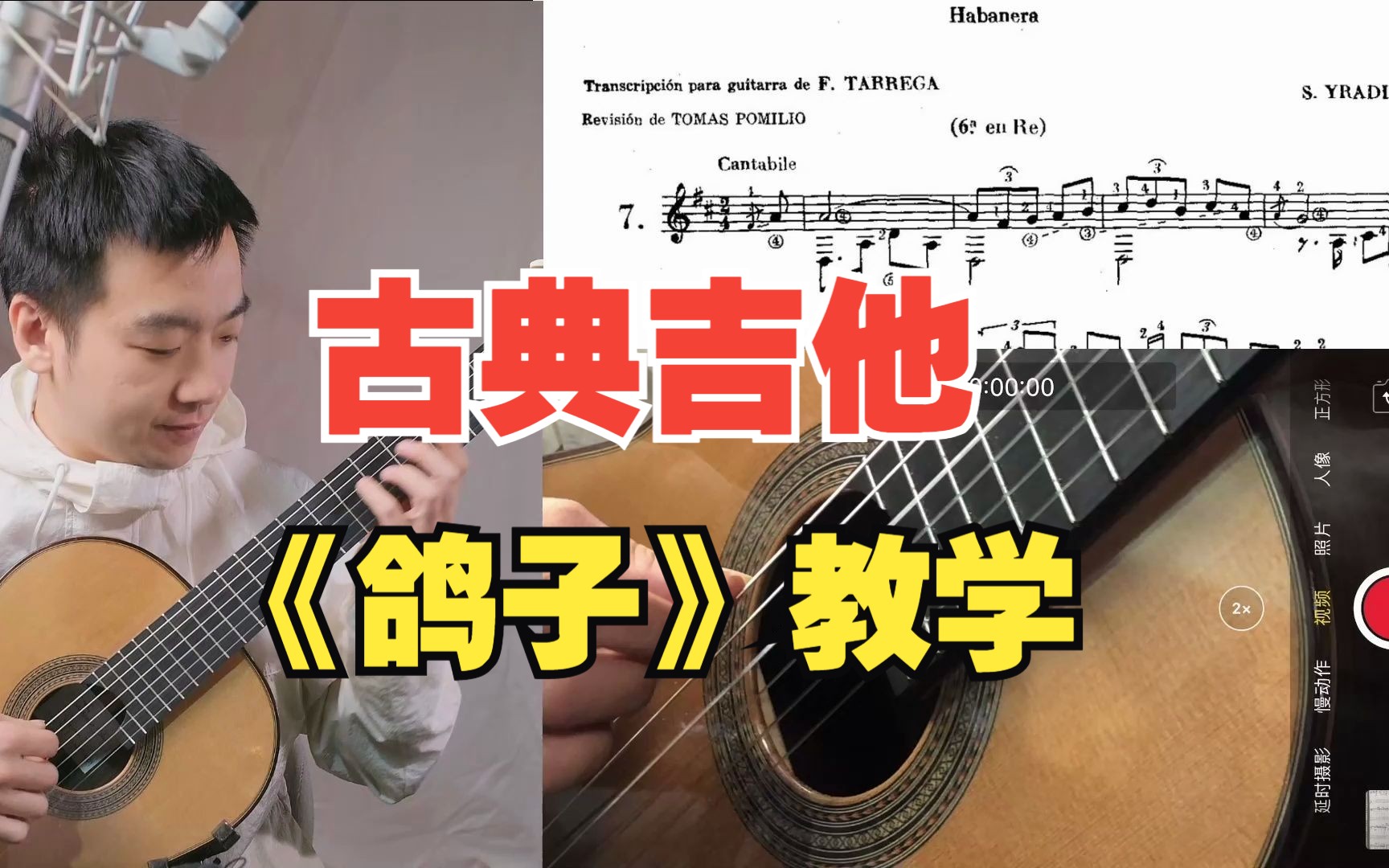 古典吉他鸽子教学