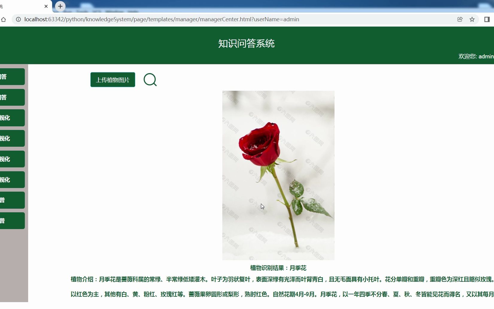 ...Python的智能问答系统(知识问答,图片问答,知识可视化,植物识别,动物...