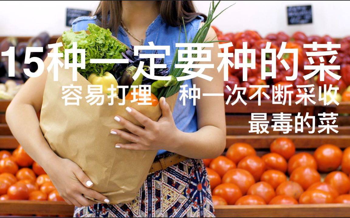 15种一定要种的菜|农药残留!|最毒的菜|容易打理|种一次不断采收
