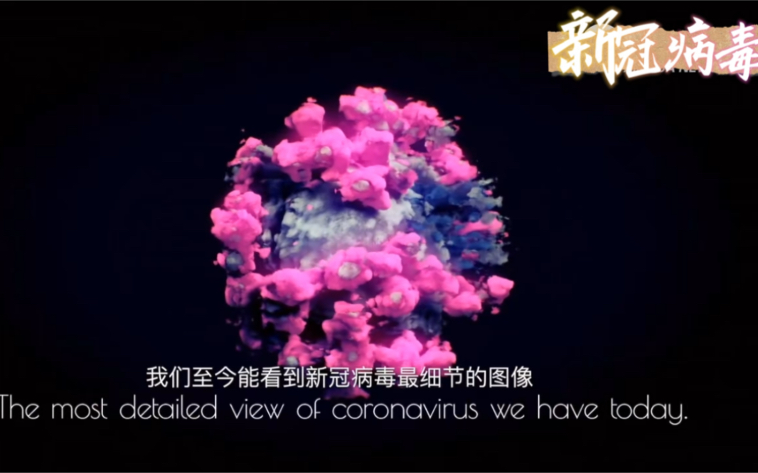 至今为止最细节最真实的新冠病毒图像,只有冷冻电镜才能看到