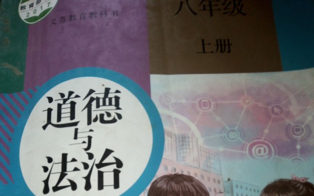 《政史系列》八年级上册政治维护秩序
