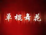 【双截棍教学】李煜涛双节棍自学规范教程(单棍)