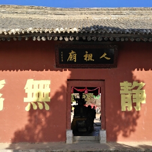 倚楼听风moa 