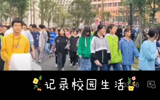 学校组织的劳动实践课