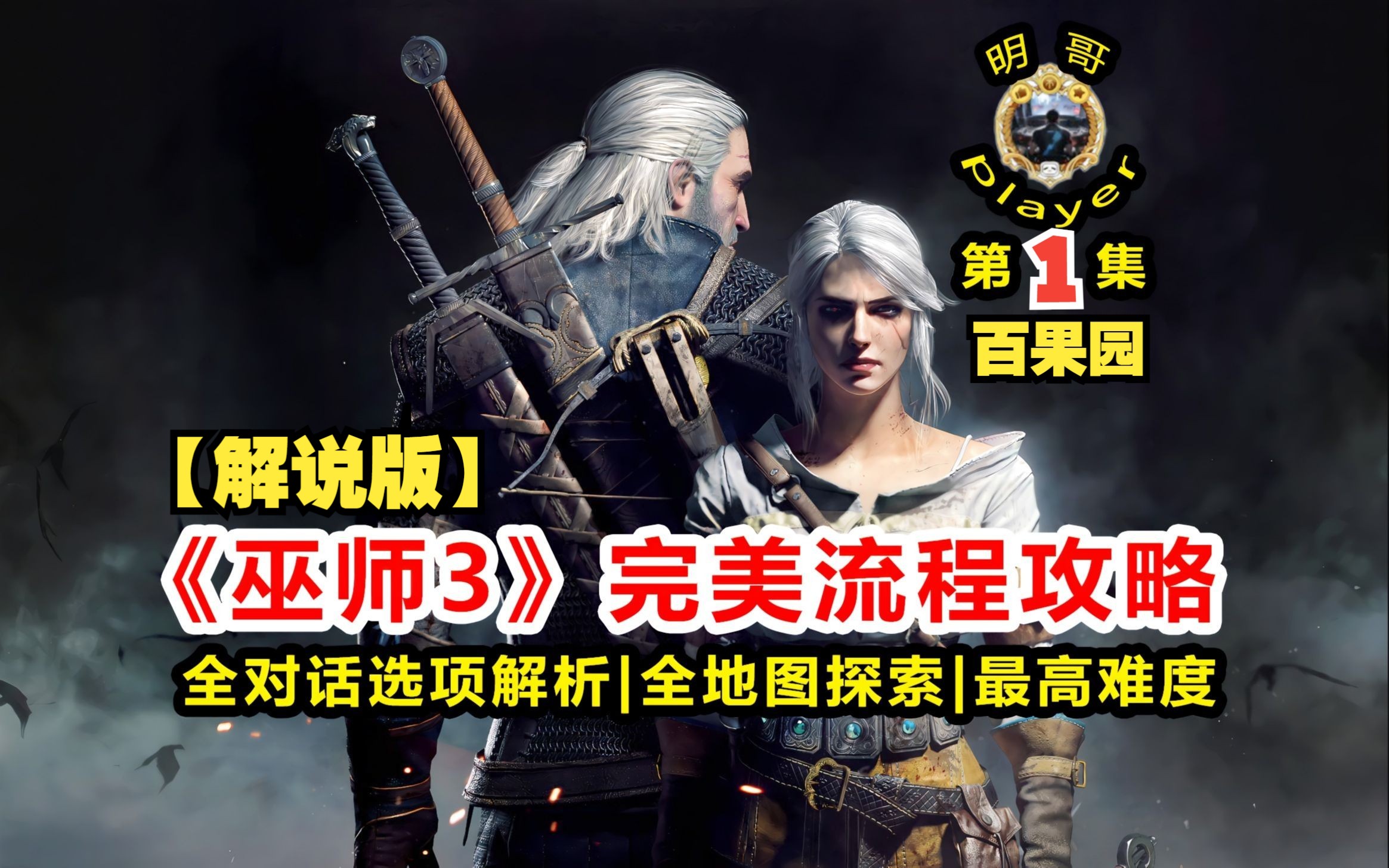 ...全对话选项解析|无UI|《巫师3:狂猎》次世代版|《石之心》|《血与酒》