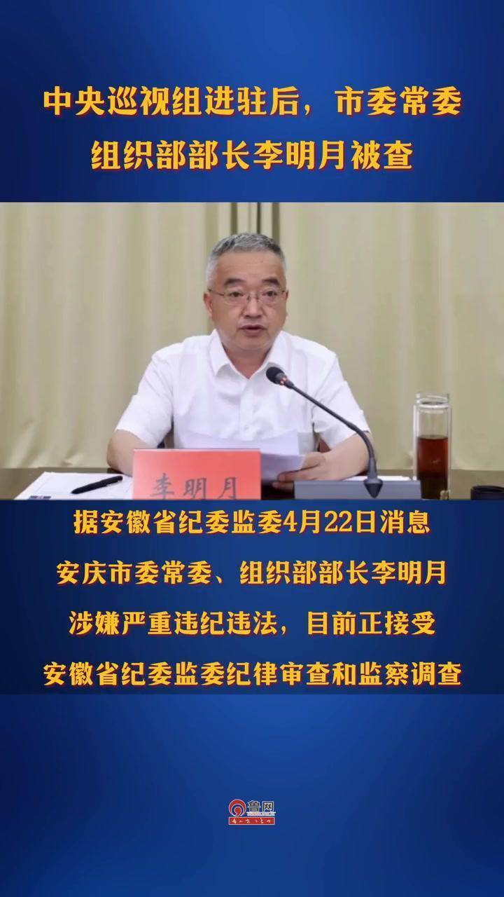 中央巡视组进驻后,市委常委组织部部长李明月被查