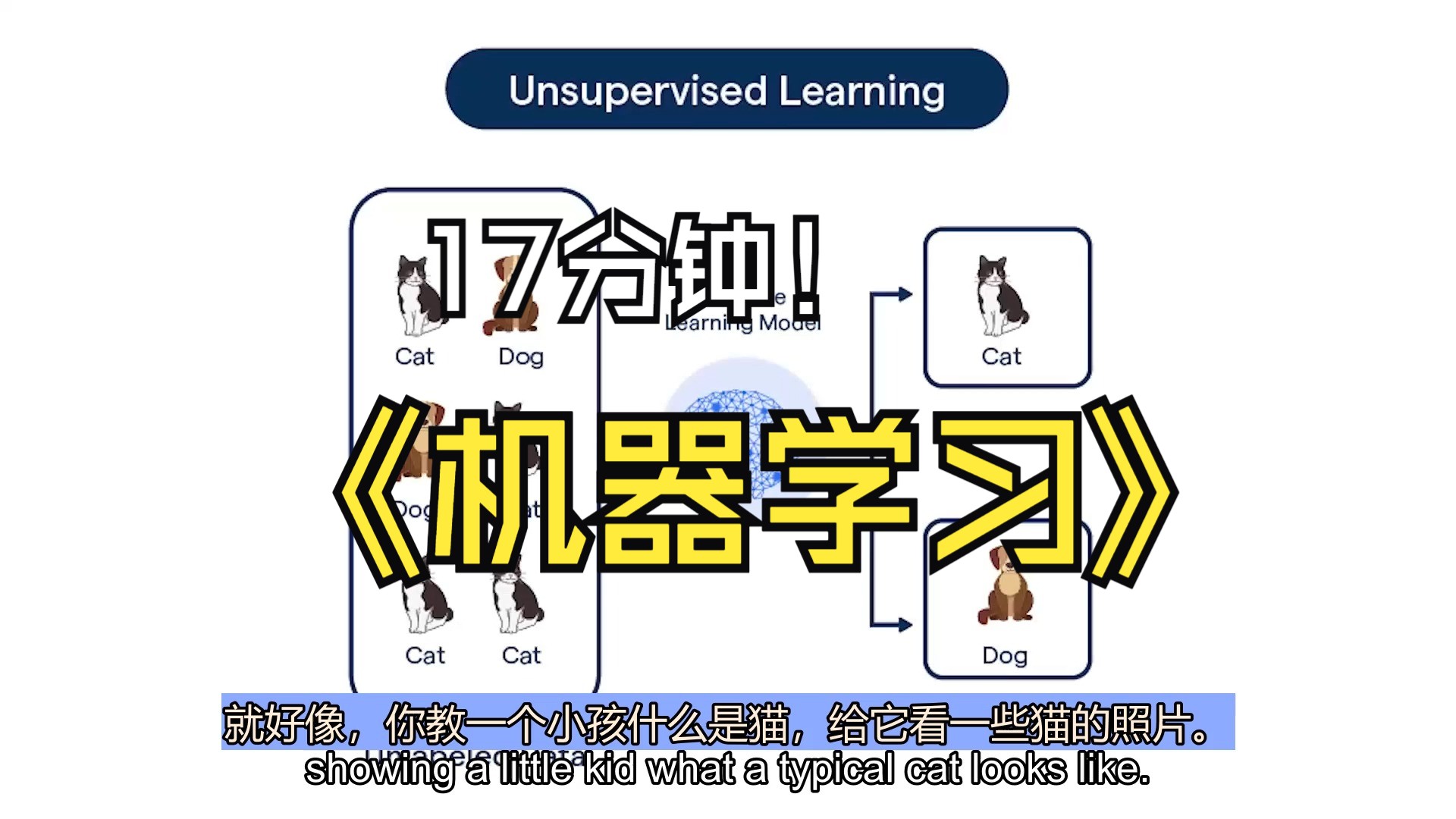 17分钟了解所有机器学习算法[中文配音]