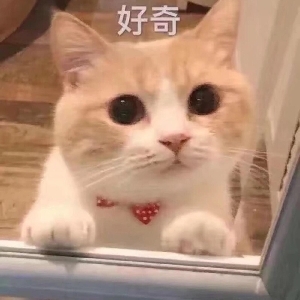 取名真的很难ei 