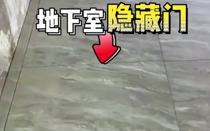 好物推荐家装设计下沉式地下室隐藏门厂家直销