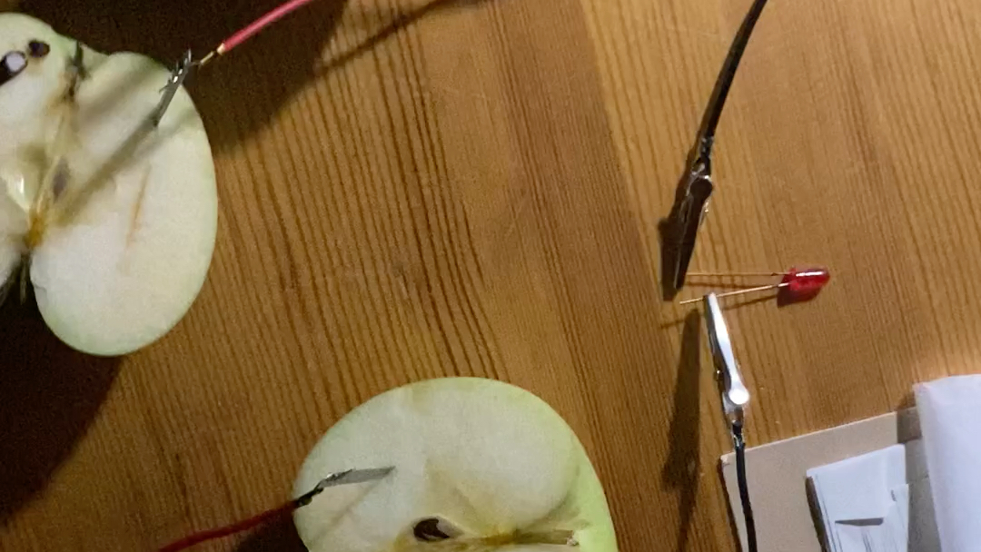 物理实验:水果电池