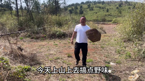 农村人的生活方式就是这么简单,山上长的,水里游的全都是美味